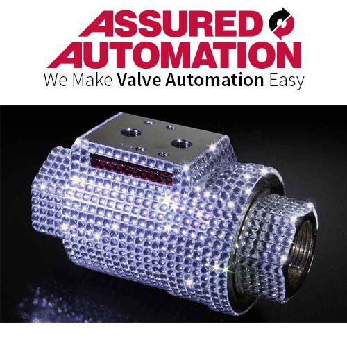 World's most expensive valve