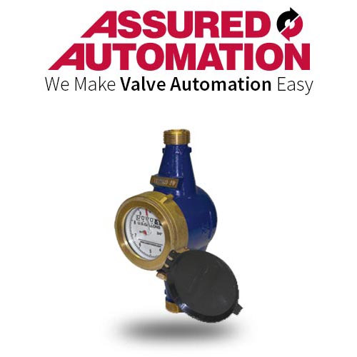 WM Series Residential Water Meters and Submeters