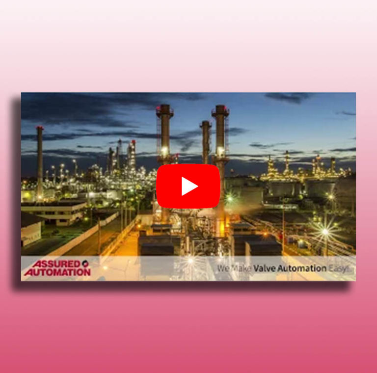 Meet The Team Archives - Assured Automation