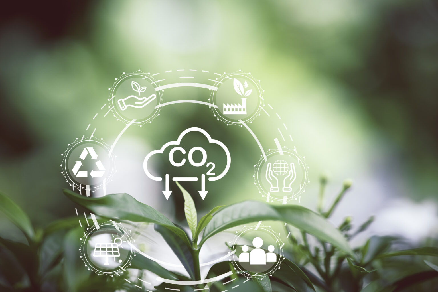 Carbon Capture: The Role of Automated Valves